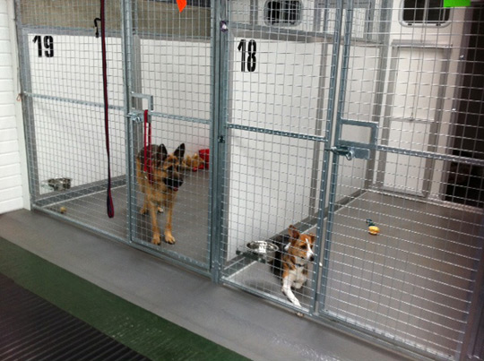 Stanmaur Farm Boarding Kennels